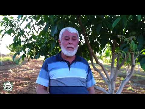 Sarız/ Örnek Çiftçi İsmet Akpınar