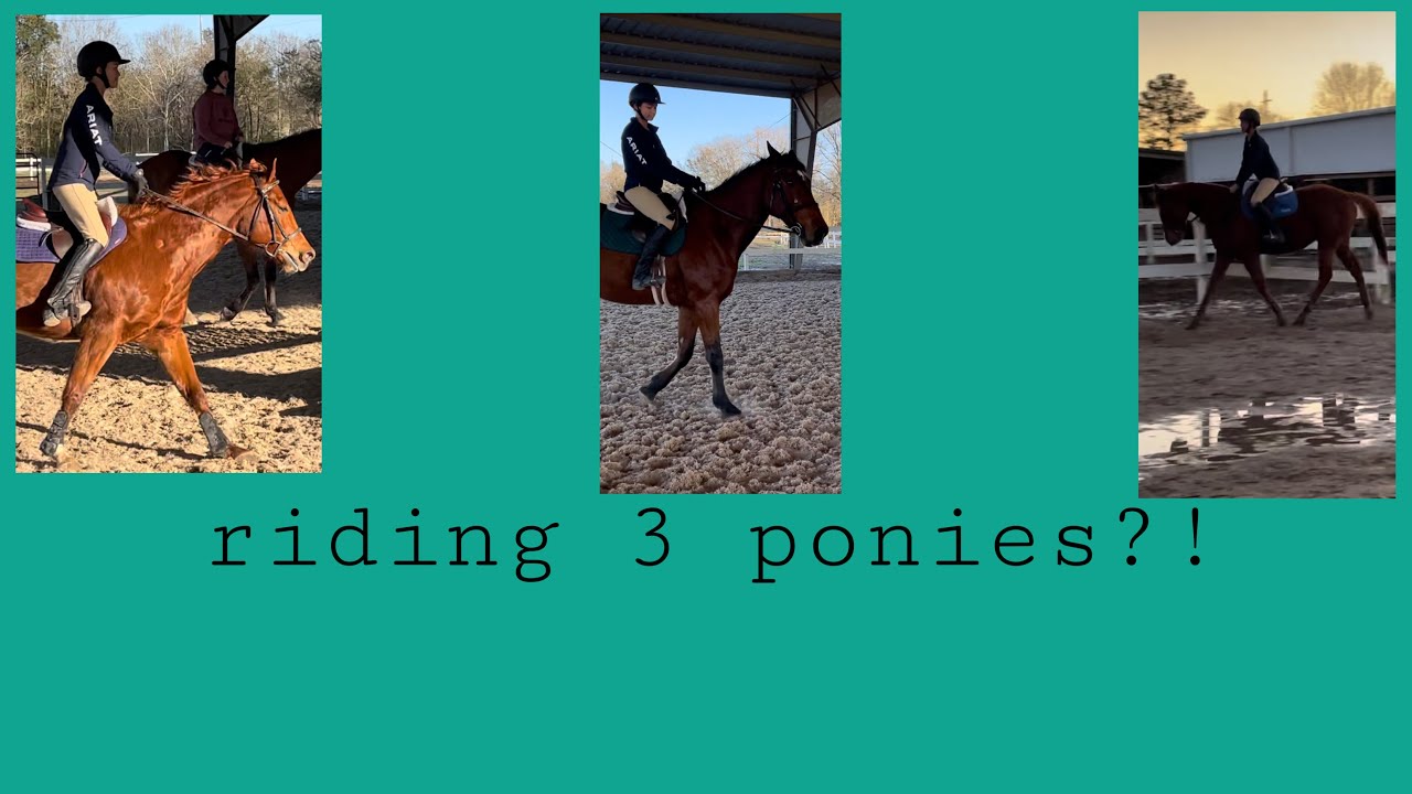 riding 3 horses in one day?! barn vlog!🫶🏽 - YouTube