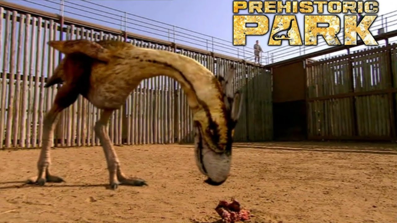 Prehistoric Park Terror Bird 34 Gastornis Royalty Free Images, Stock