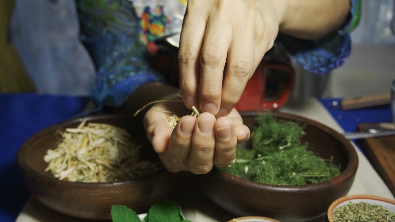 cápsula educativa sobre Medicina preventiva Mapuche! (Paico) - YouTube