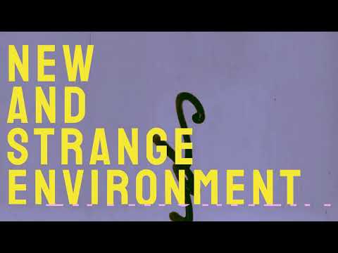 Zion Lavi Lang - New and Strange Environment (Official Video)