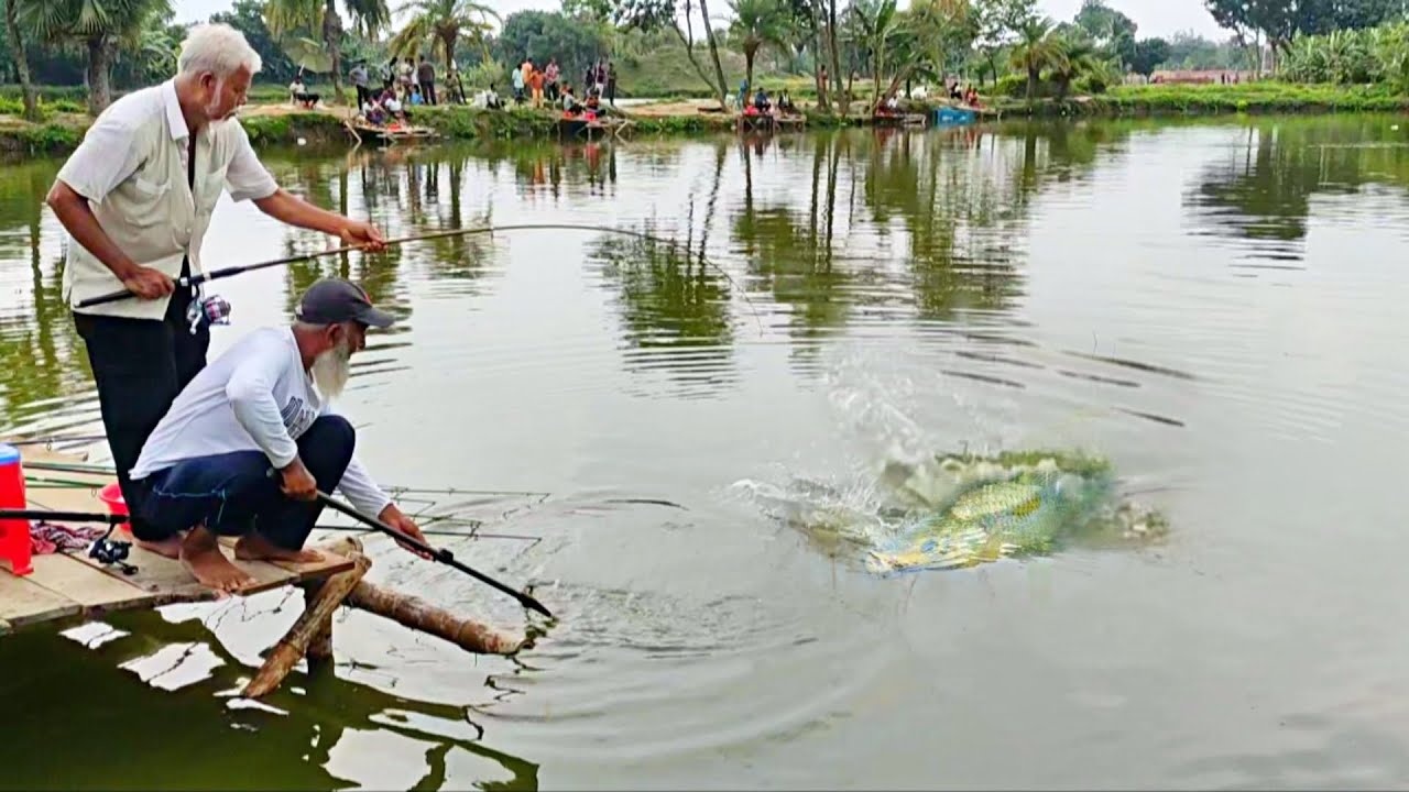Old man catching big Ruho fish | রুই মাছের শক্তি চরম পর্যায়ে। abdul ...