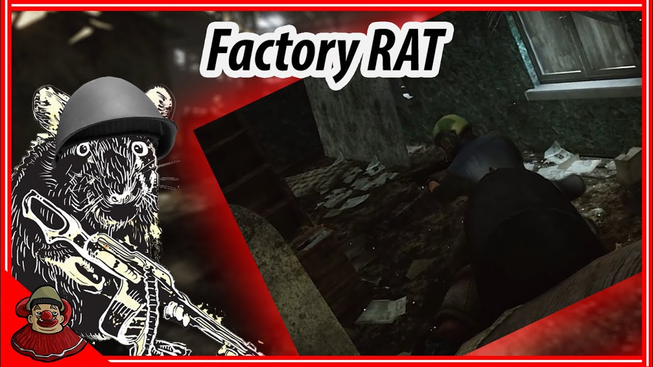 A RAT IS BORN IN FACTORY... - YouTube