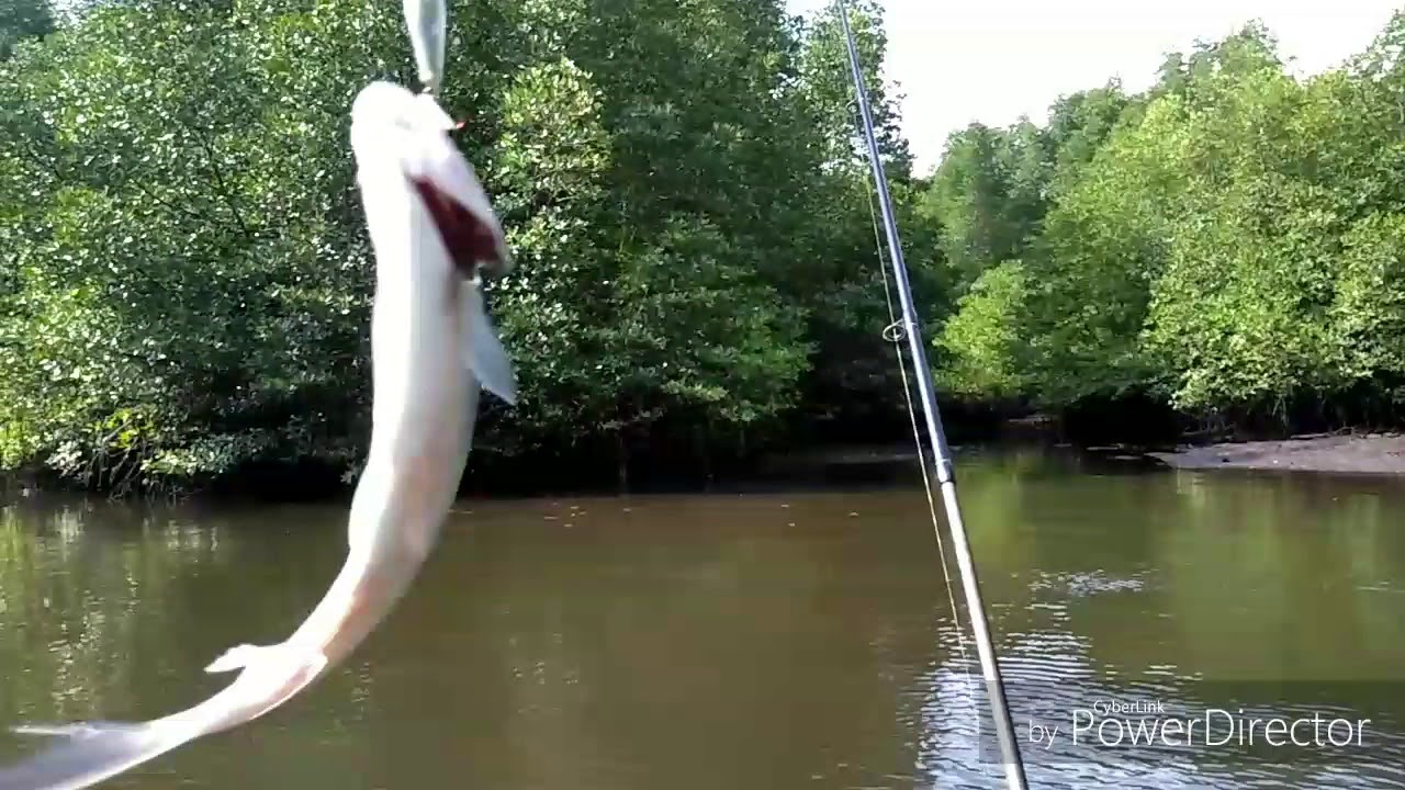 #7 ultralight fishing bontang, indo pacific tarpon - YouTube
