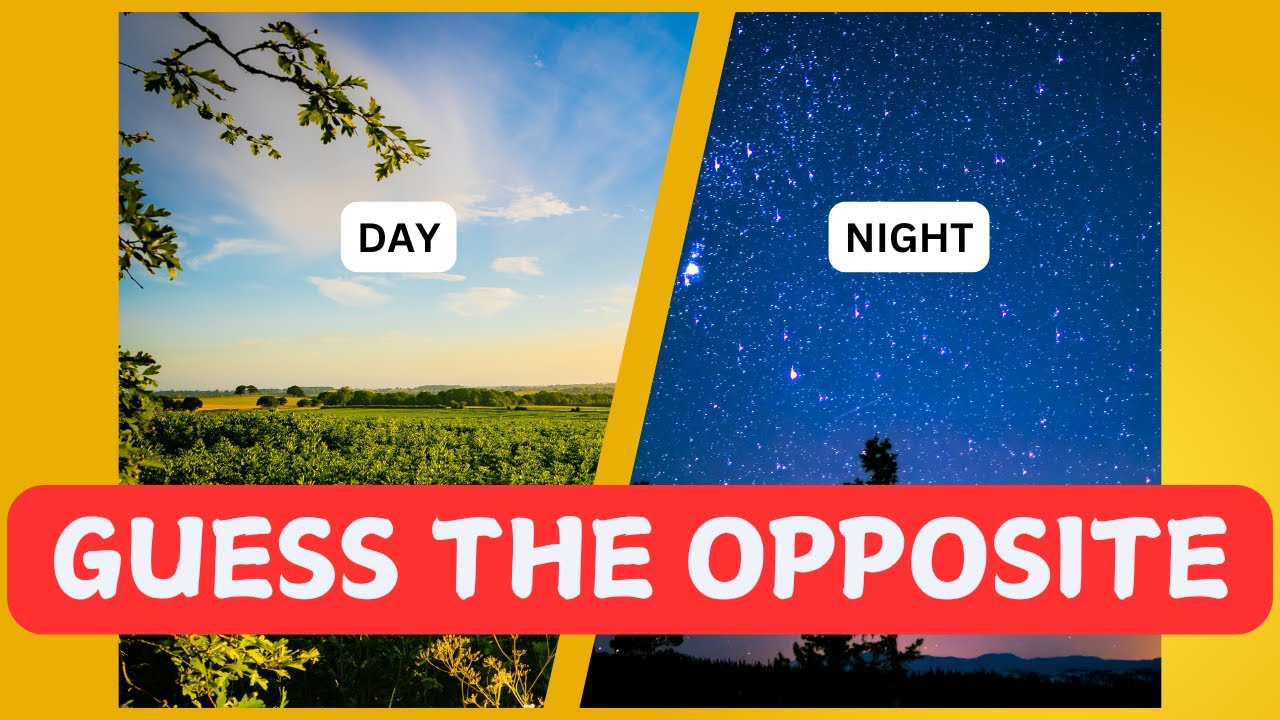 Guess the opposite | Guess the opposite words |Quiz on Antonyms - YouTube