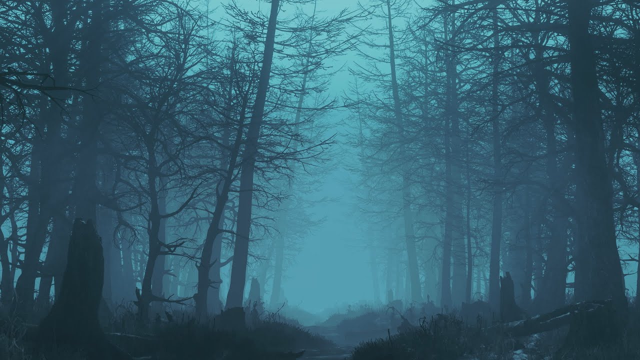 Walking Through a Haunted Forest - Creepy Forest Ambience - Spooky ...