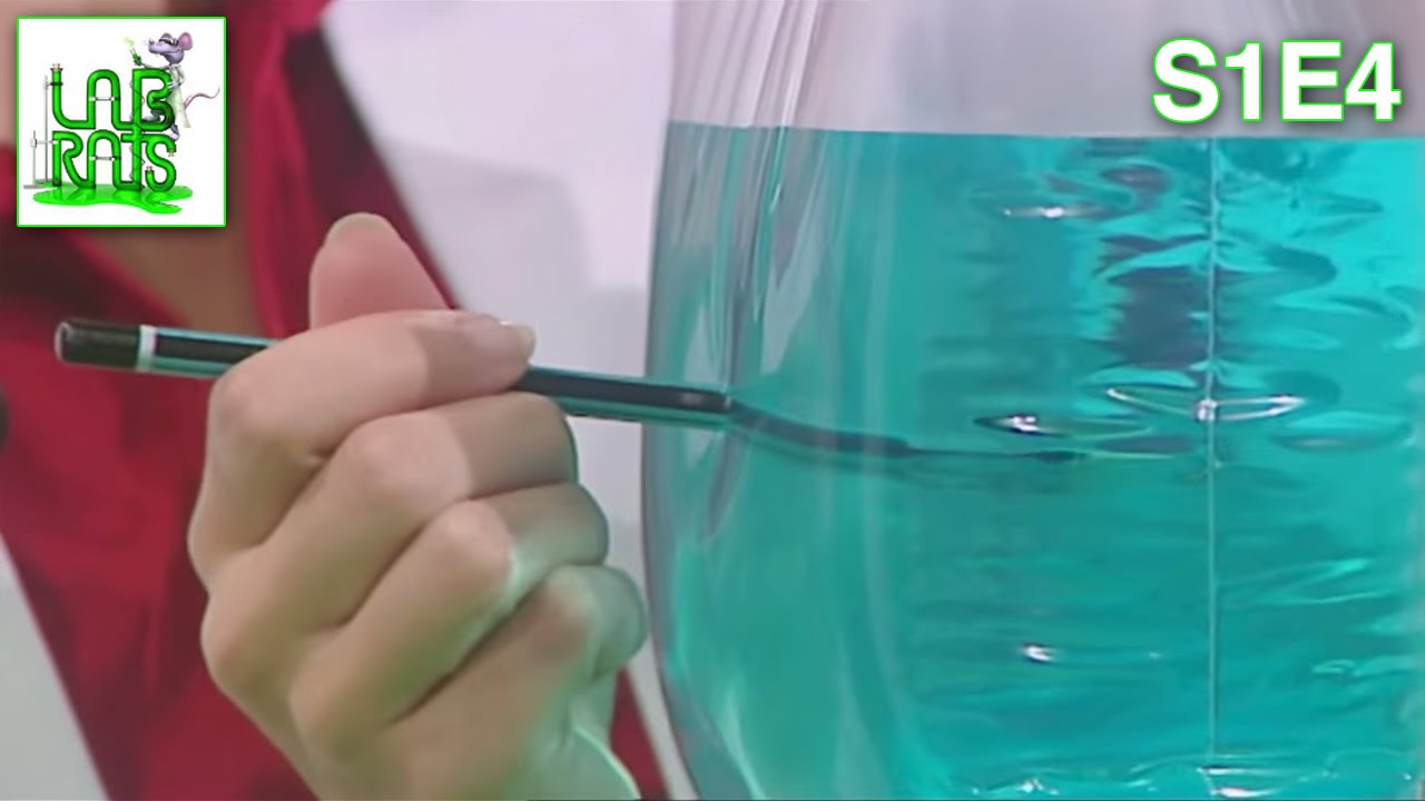 Labrats Challenge | S1E4 - YouTube