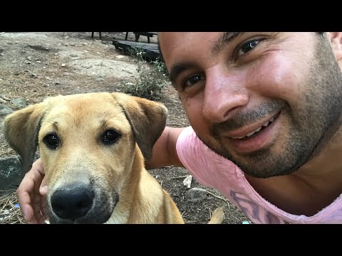 EN KOMİK ve EĞLENCELİ VİDEOLAR | KOMİK STAND UP ( ESPRİLER KOMİK SÖZLER )