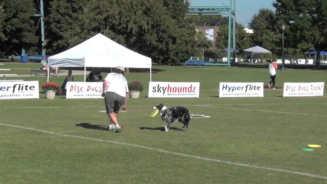 Kat Fahle and Ziggy - Skyhoundz 2013 - YouTube
