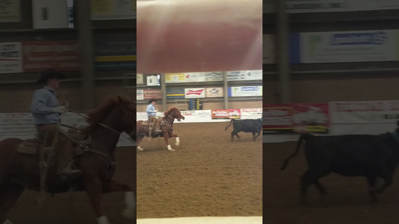 2018 JP Ranch Rodeo - TX Bar Ranch RB - YouTube