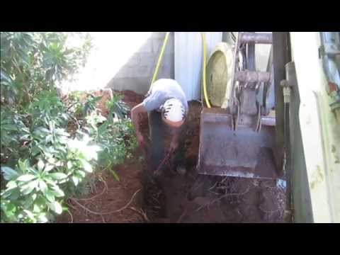 Air Spade Tree Roots - YouTube