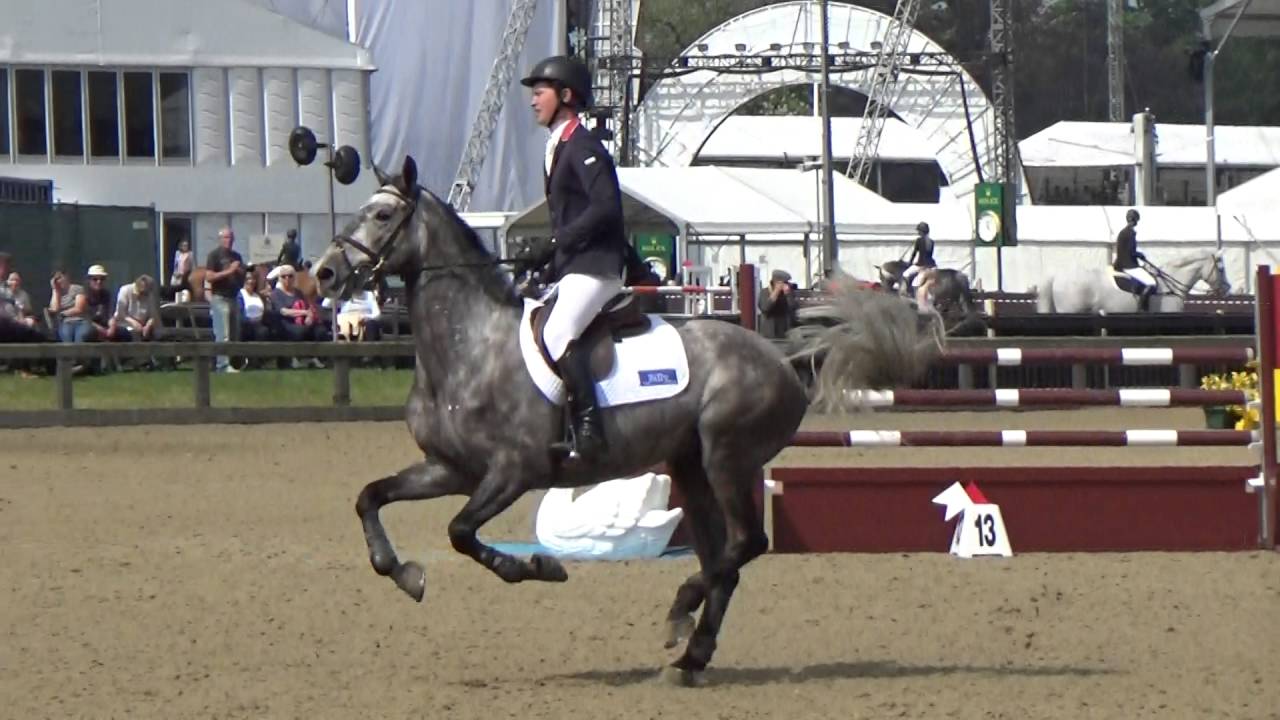 porter Royal windsor 6yr - YouTube
