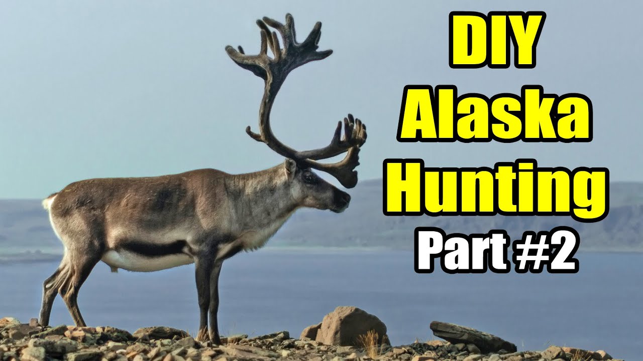 Alaska Hunting – Plan a DIY Alaska Hunt – Part 2 - Mindset & Reality ...