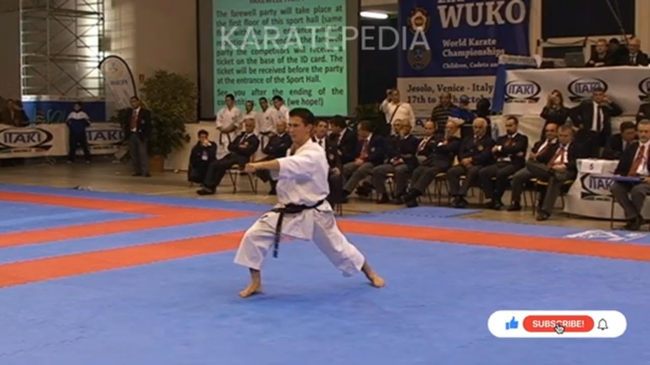 BEST OF THE BEST Male Kata | WUKO World Karate Championships 2008 - YouTube