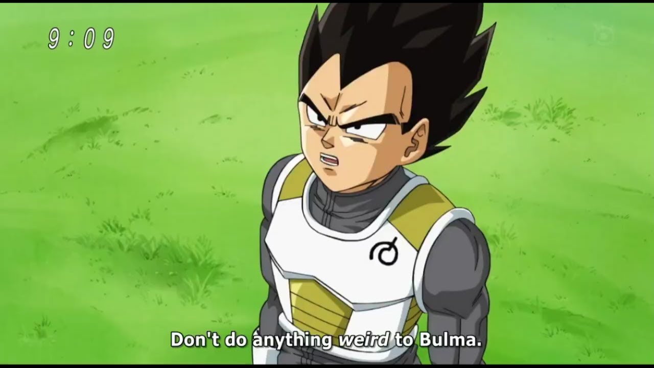 Why Vegeta loves bulma soo much. - YouTube