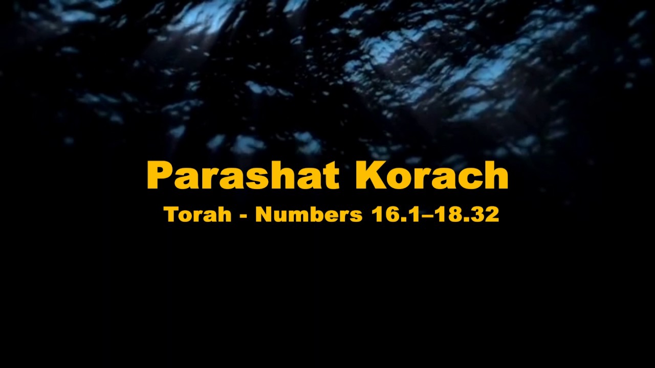 Parashat Korach - YouTube
