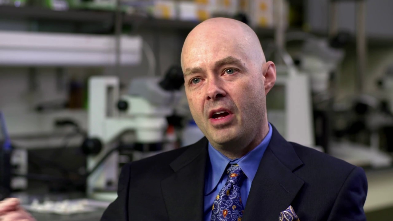 Kraig Labs Featured on Nature Knows Best - YouTube