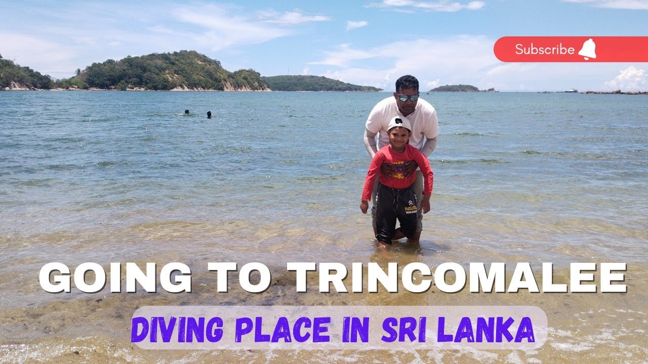 Road Trip to Trincomalee | Diving in Sri Lanka | Travel Vlog | Motovlog ...