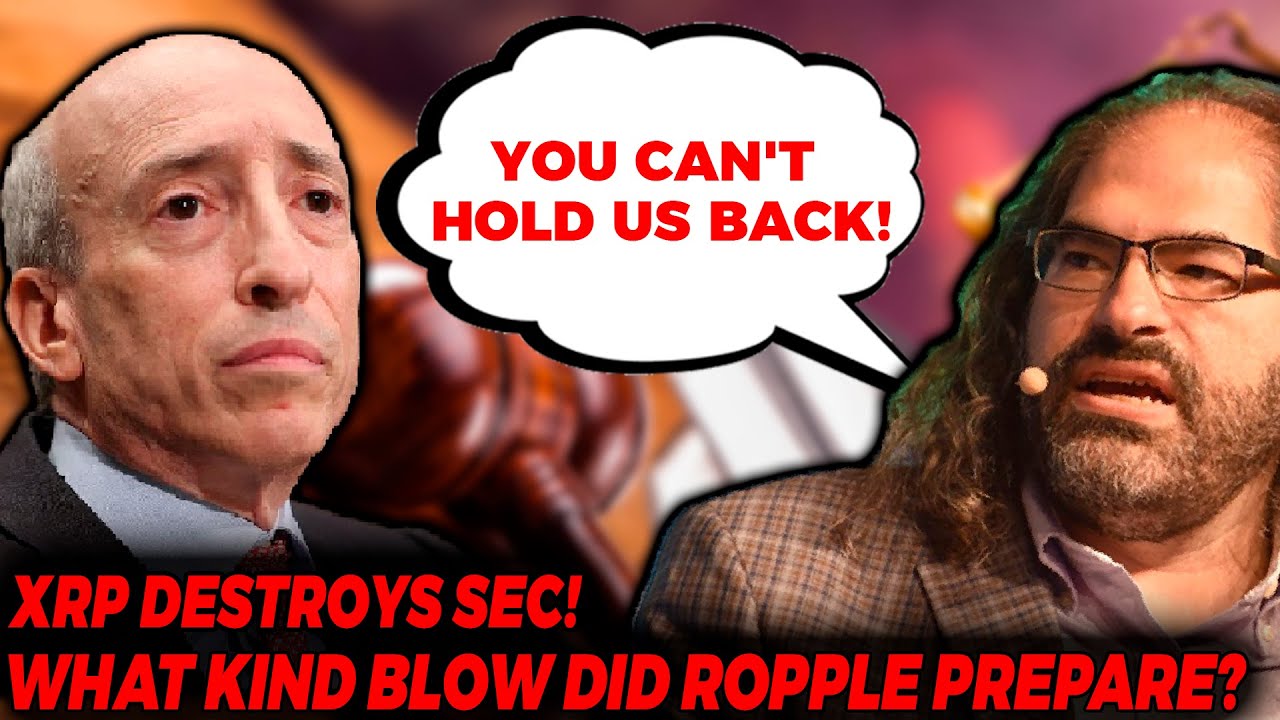 David Schwartz Revealed: Ripple XRP Preparing Powerful Blow To SEC! 🚨 ...