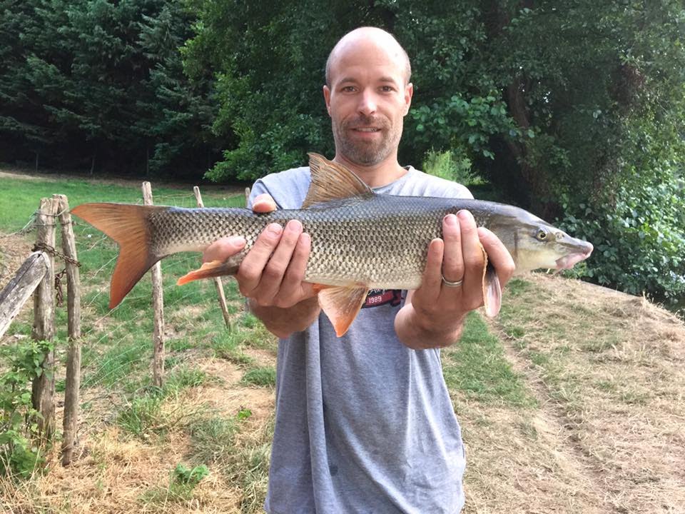 peche barbeau - YouTube