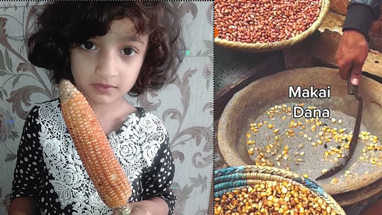 Namak Wali Chali Street Style at home||Pakistani street Food|Secrets of ...