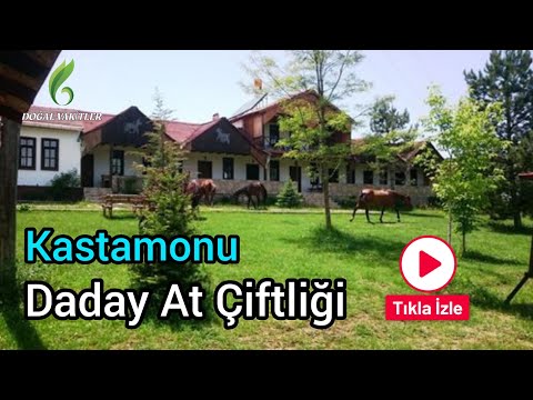 Çömlekçiler At Çiftliği Daday | Horse Farm, Daday | Bungalov evleri atlı turizm