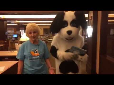 Colleyville Library Summer Reading 2017 Stats - YouTube