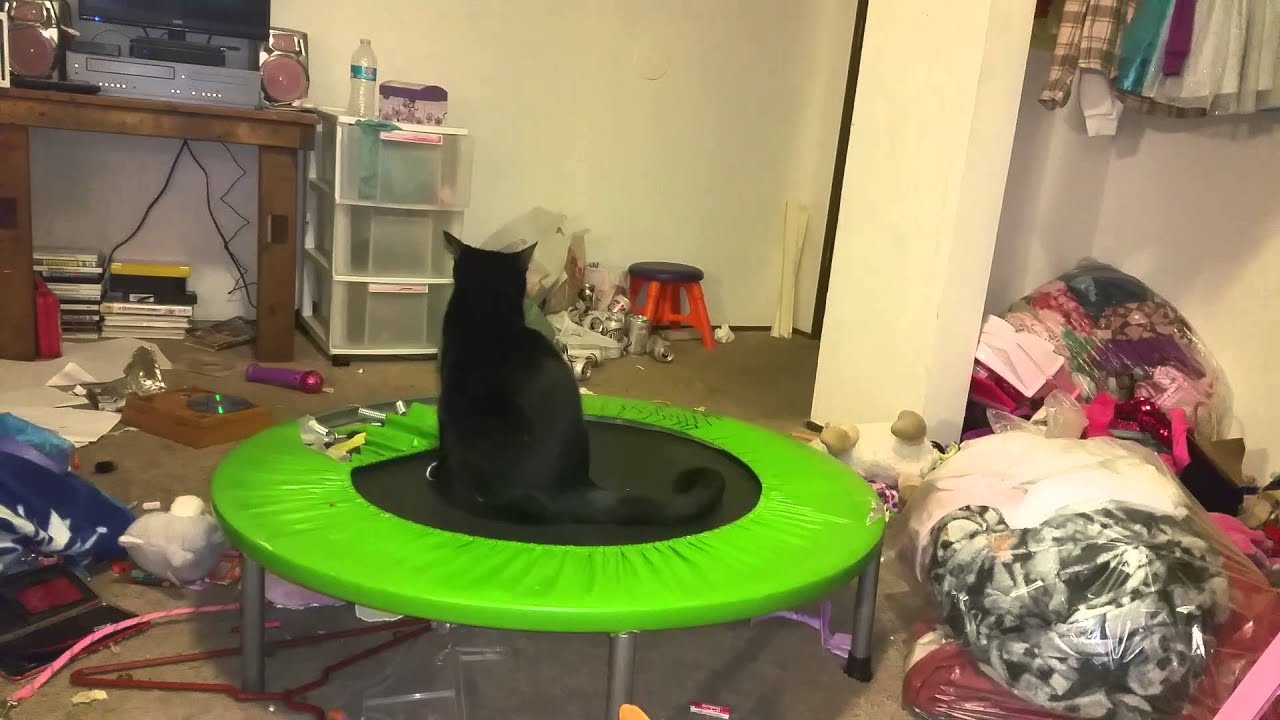 Mew Is A Poop Head YouTube mew-is-a-poop-head-youtube