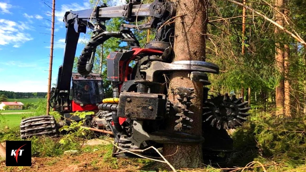 WORLDS MOST EXTREME DEFORESTATION MACHINES | DANGEROUS TREE CUTTING ...