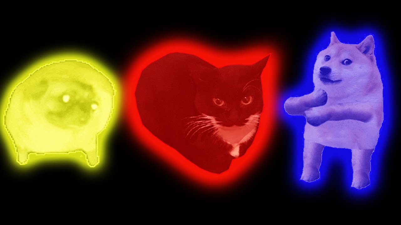 5 "Maxwell The Cat and Pug and Doge Dancing" Sound Variations In 35 ...