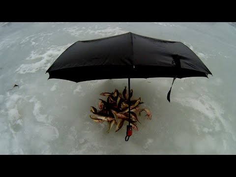ДОН!Зимняя рыбалка в ДОЖДЬ!Проверка ДОНОК(крестов)