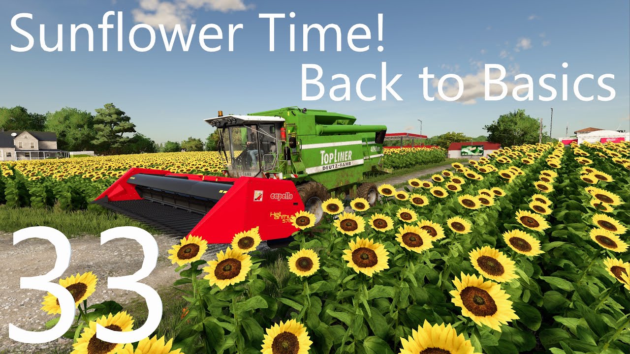 SUNFLOWER TIME! - E33 - Elm Creek - Farming Simulator 22 - FS22 - YouTube