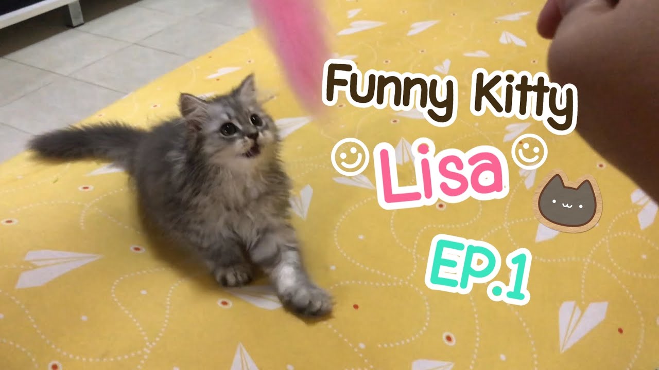 Funny Kitty - Lisa EP.1 - YouTube