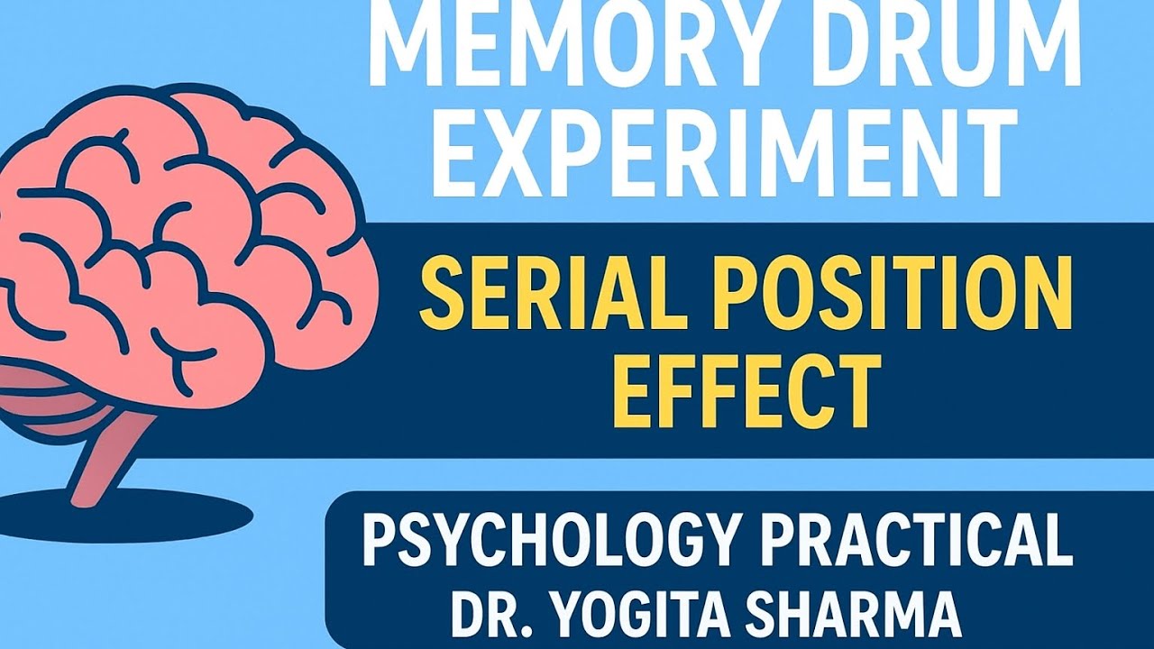 Memory Drum Experiment | Serial Position Effect | Psychology Practical ...