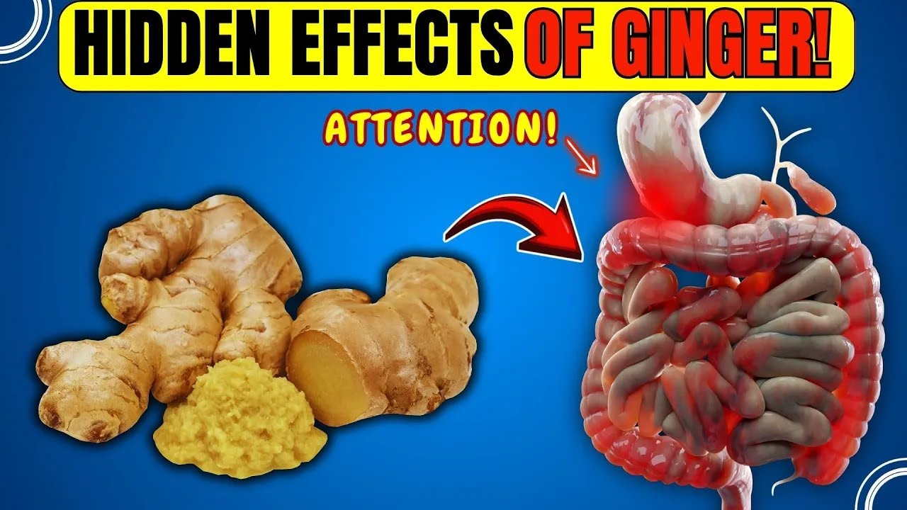 THE SURPRISING TRUTH ABOUT GINGER EFFECTS NOBODY TELLS YOU! - health ...