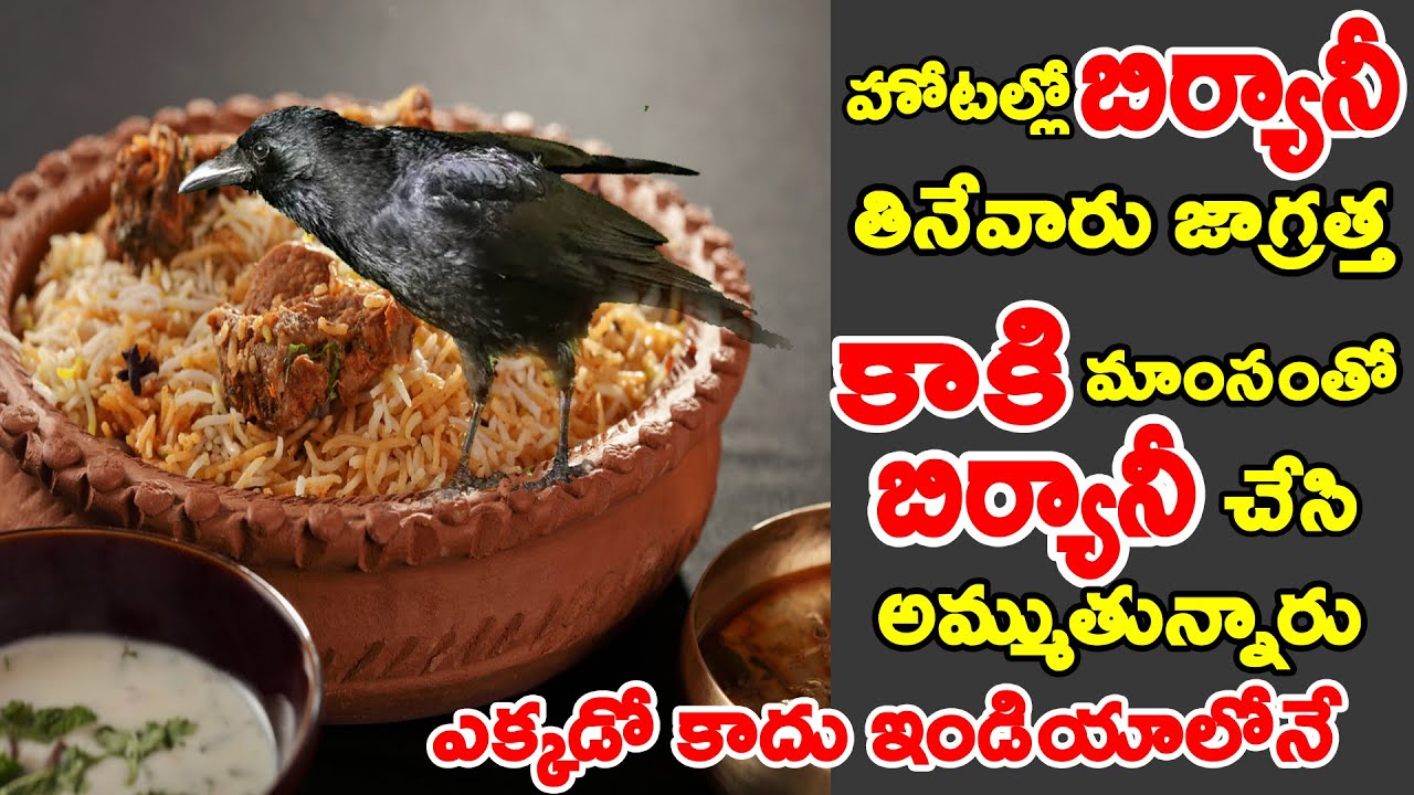 కాకి మాంసంతో చికెన్ బిర్యానీ ఎక్కడో కాదు ఇండియాలోనే | Crow Chicken ...