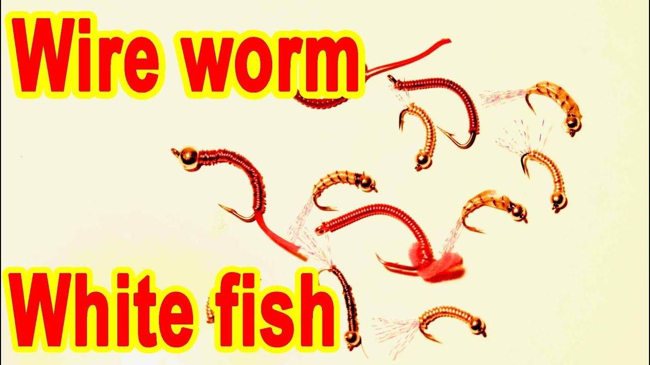 Tying the wireworms for whitefish ice fishing - YouTube