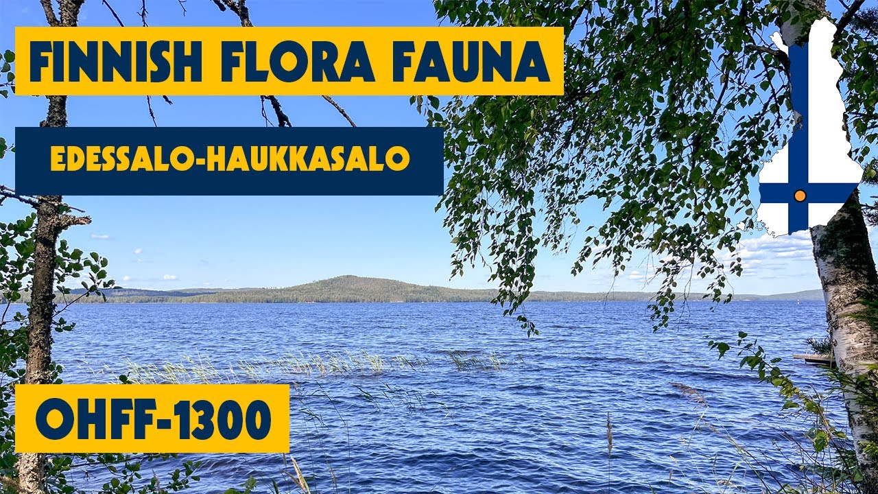 11/07/2023 - Finnish Flora Fauna - OHFF-1300 - Edessalo-Haukkasalo ...
