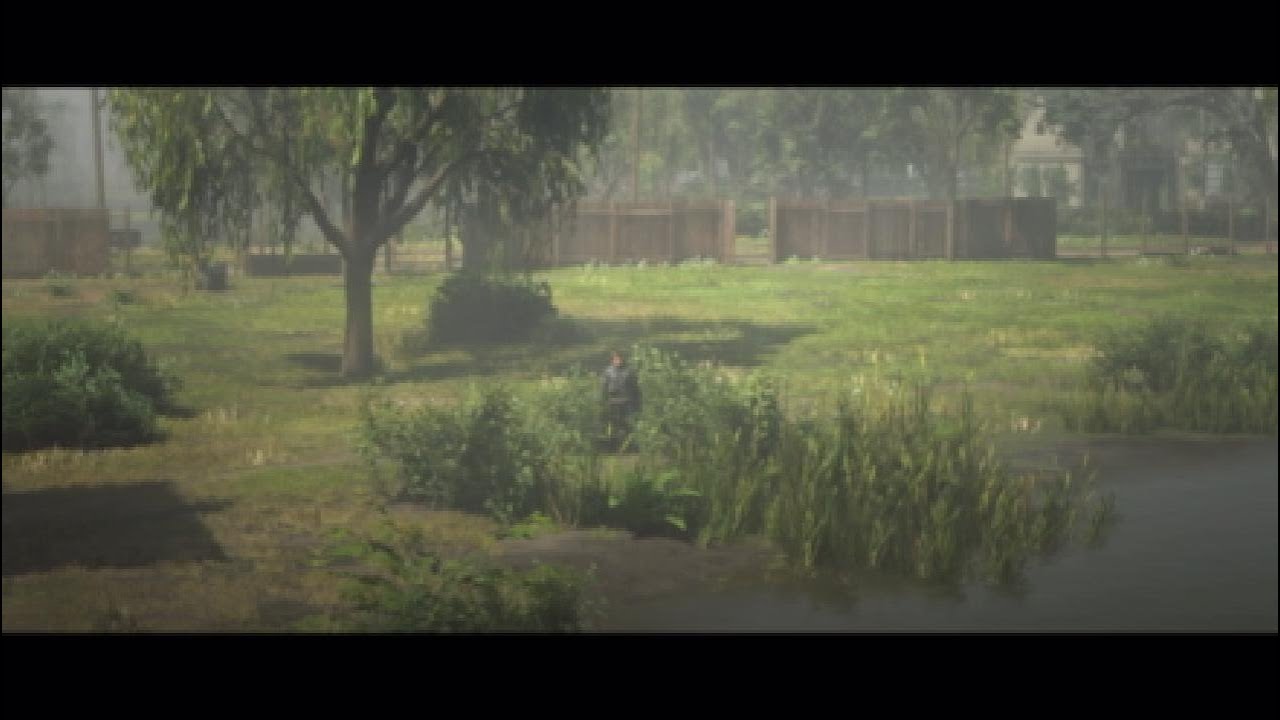 Red Dead Online: Me atacaron 2 jugadores tóxicos después de jugar con ...