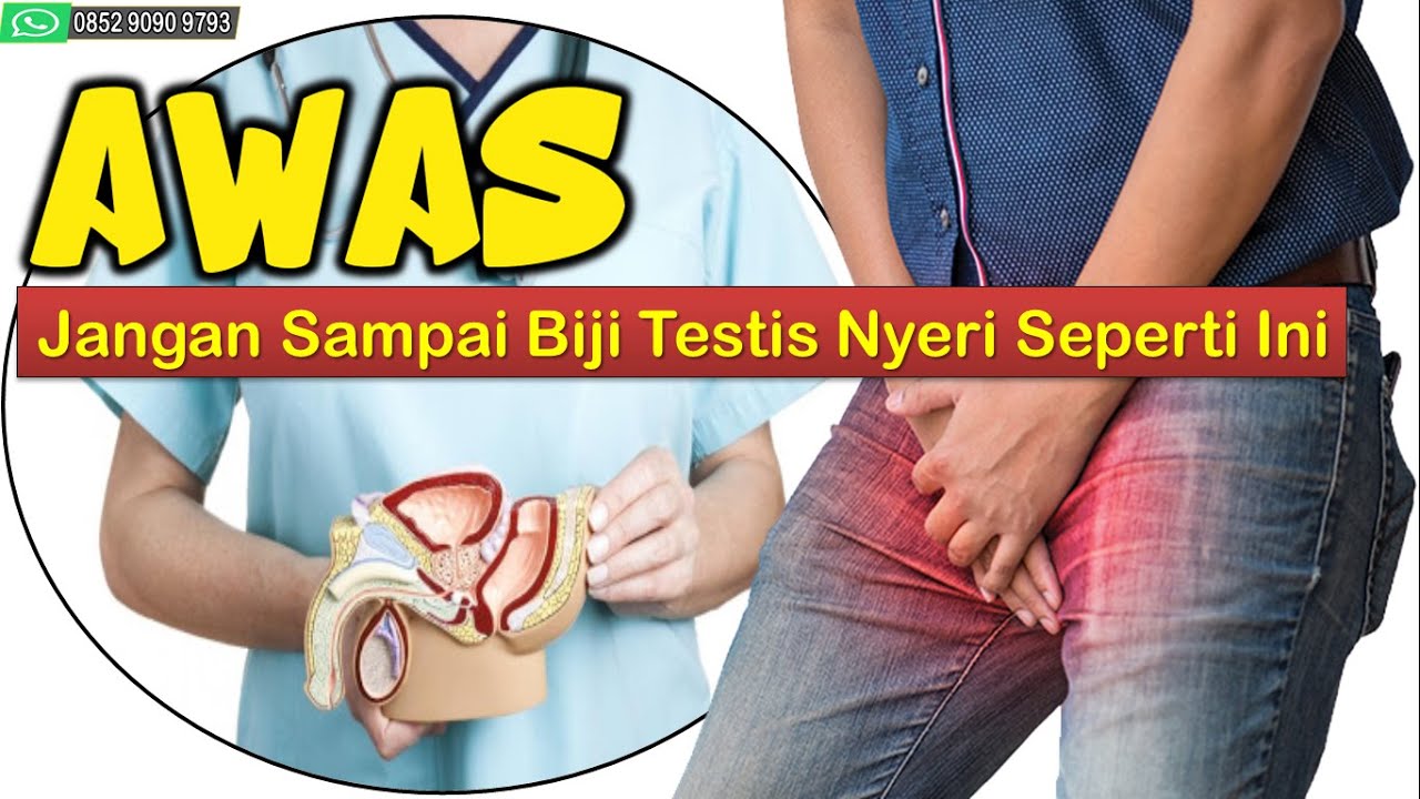 Awas, Jangan Sampai Biji Testis Nyeri Seperti Ini - YouTube