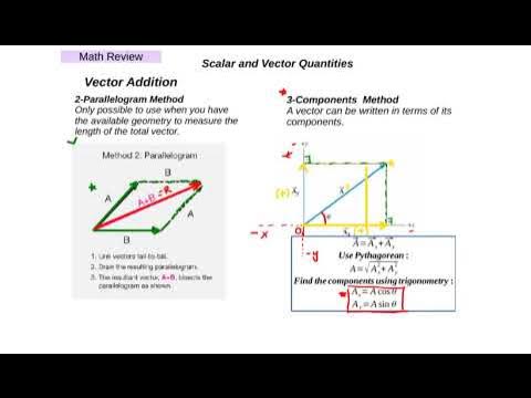 Lecture1 1D motion vectors and scalars - YouTube