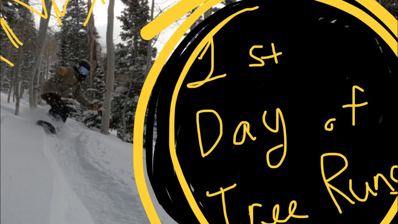 How to learn snowboarding POWDER/TREE RUNS! - YouTube