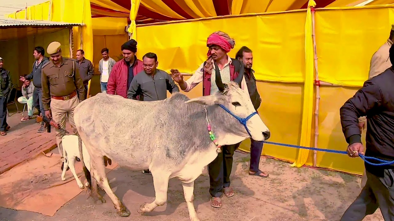 Sai Maa Shavir 2019 Kumbh Mela - YouTube