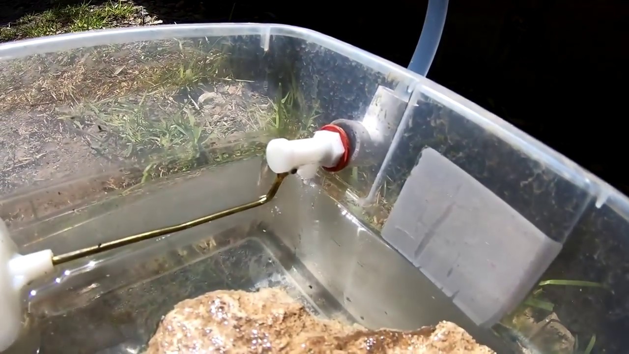 Automatic water dispenser for deer, squirrel and other critters - YouTube