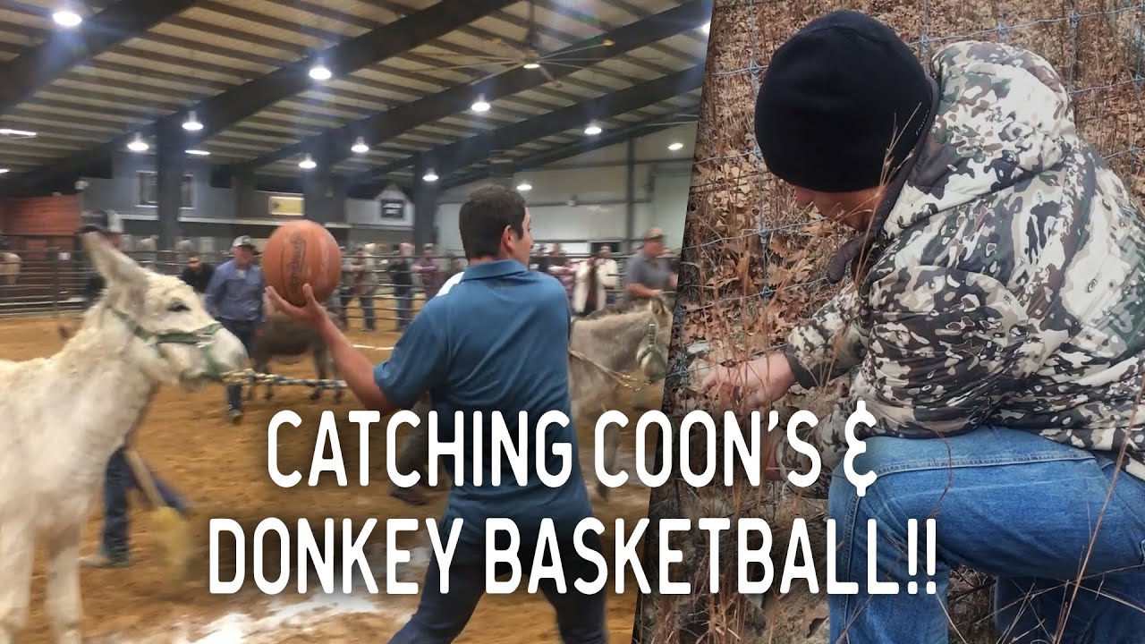 Hunting Raccoons, Eating Crawfish and DONKEY Basketball! | VLOG - YouTube