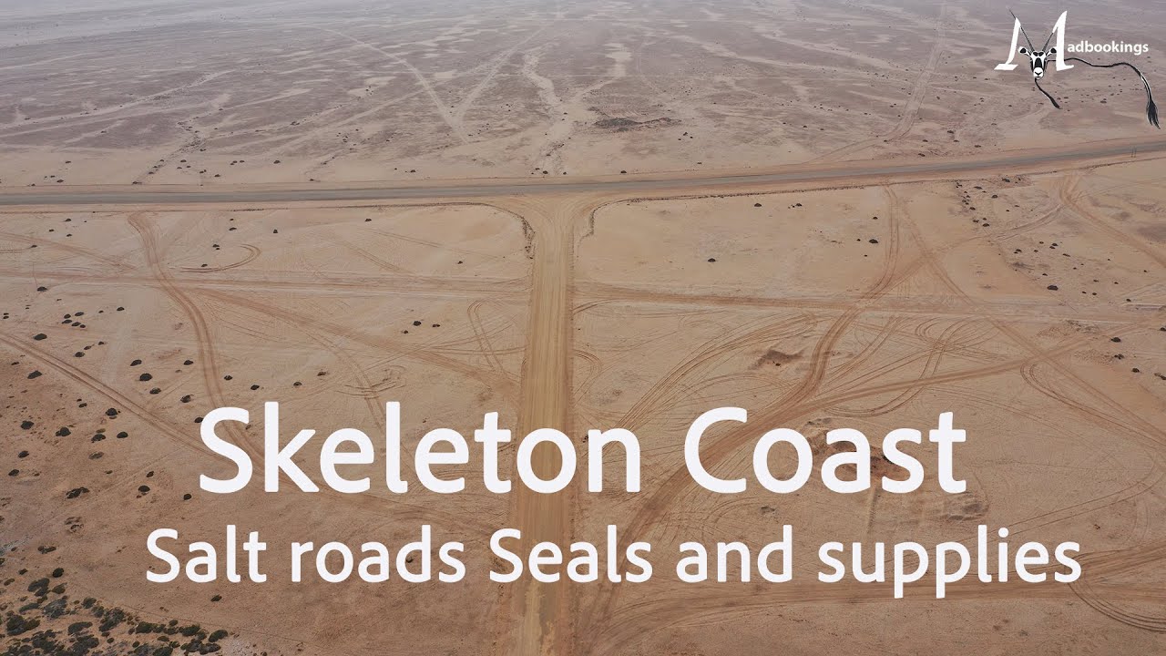 Skeleton Coast salt roads, Cape cross and supplies along the coast ...