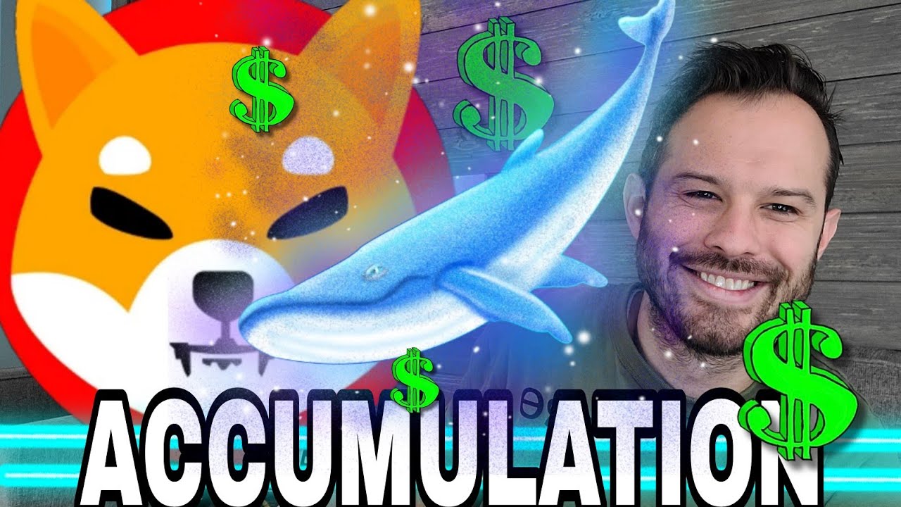 Shiba Inu Coin | Massive SHIB Accumulation Among Whales - YouTube