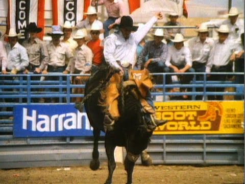 (MOJO Classics) Tooheys "How do you feel?" David Appleton Rodeo - YouTube