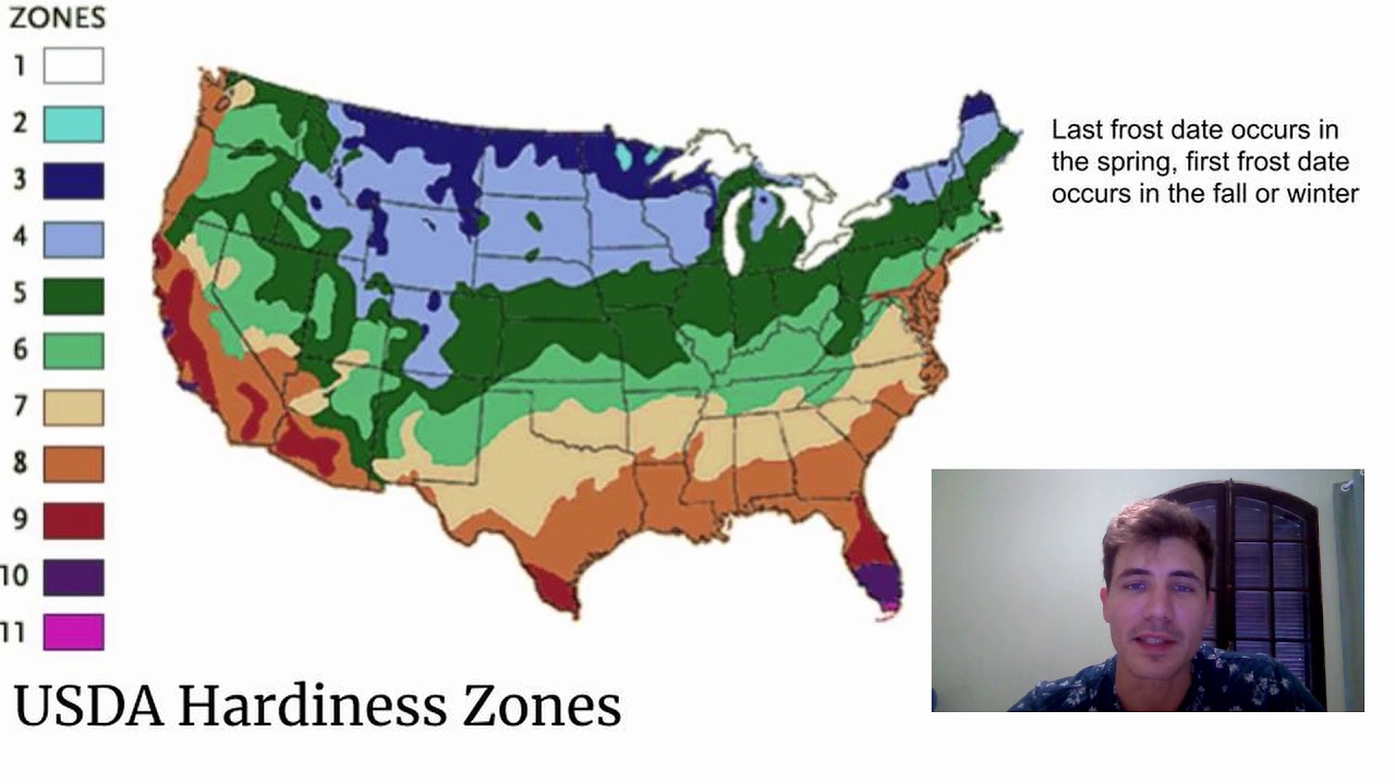 Vegetable Seed Germination Charts and Graphs for Small Farmers - YouTube