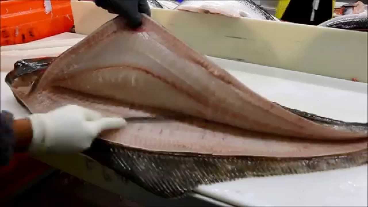 Fish Filleting- Alaskan Halibut - YouTube